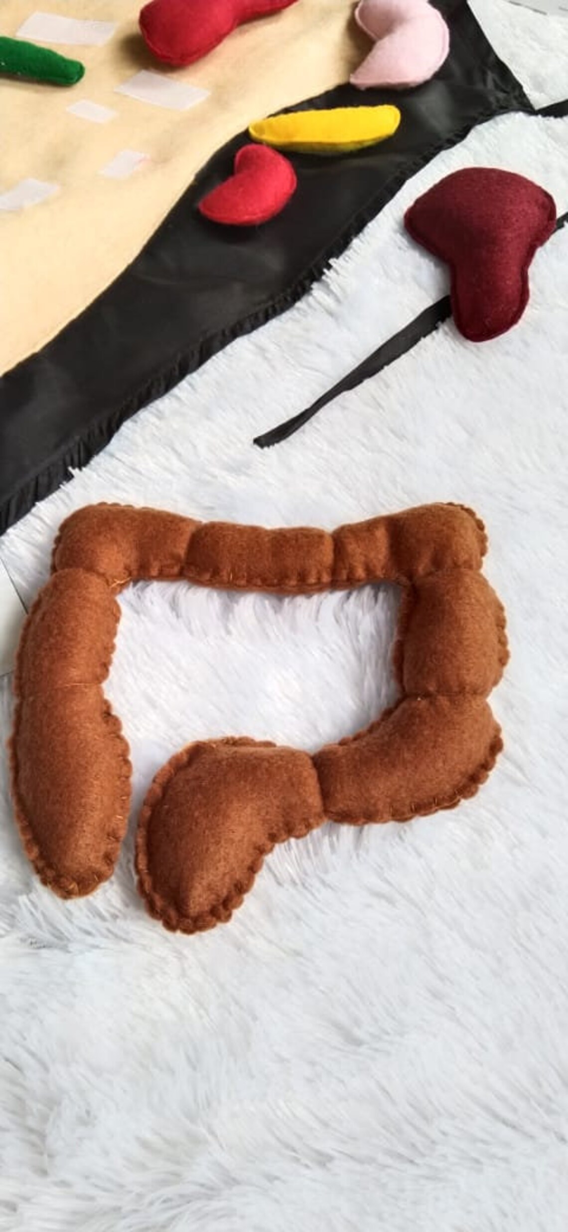 Montessori Anatomy Vest Personalized Human Organs Apron - Etsy