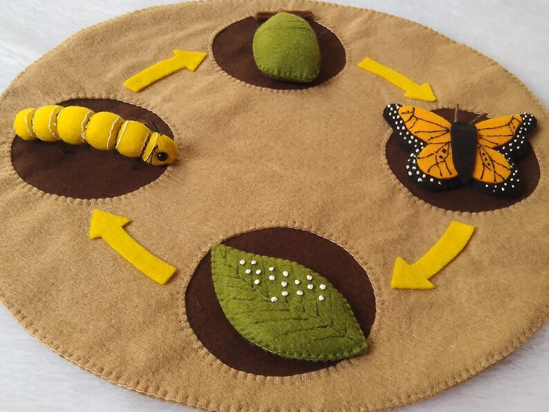 Butterfly Life Cycle Felt Board, Butterfly Life Cycle Set Science ...