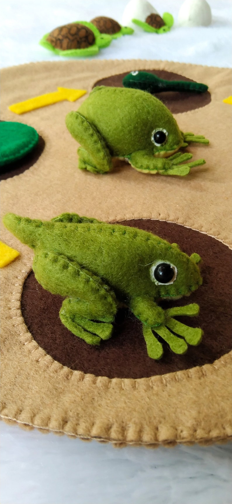 Life Cycle of Frog Felt Board, Frog Life Cycle Set, Science Activity ...