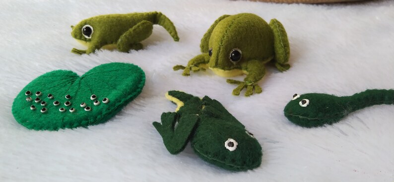 Life Cycle of Frog Felt Board, Frog Life Cycle Set, Science Activity ...
