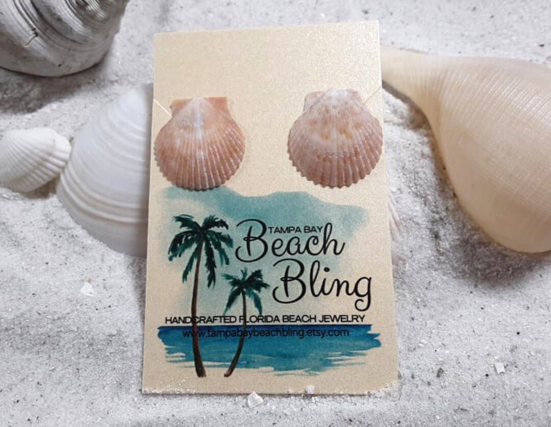 Handcrafted Florida Scallop Shell Earrings: Stainless Steel Studs - Etsy