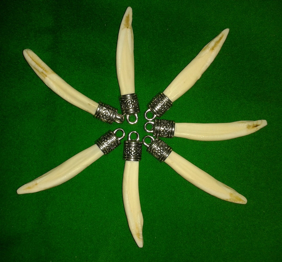 WILD BOAR INCISOR Pig Tooth Gothic Horror Voodoo Keyring Keychain ...