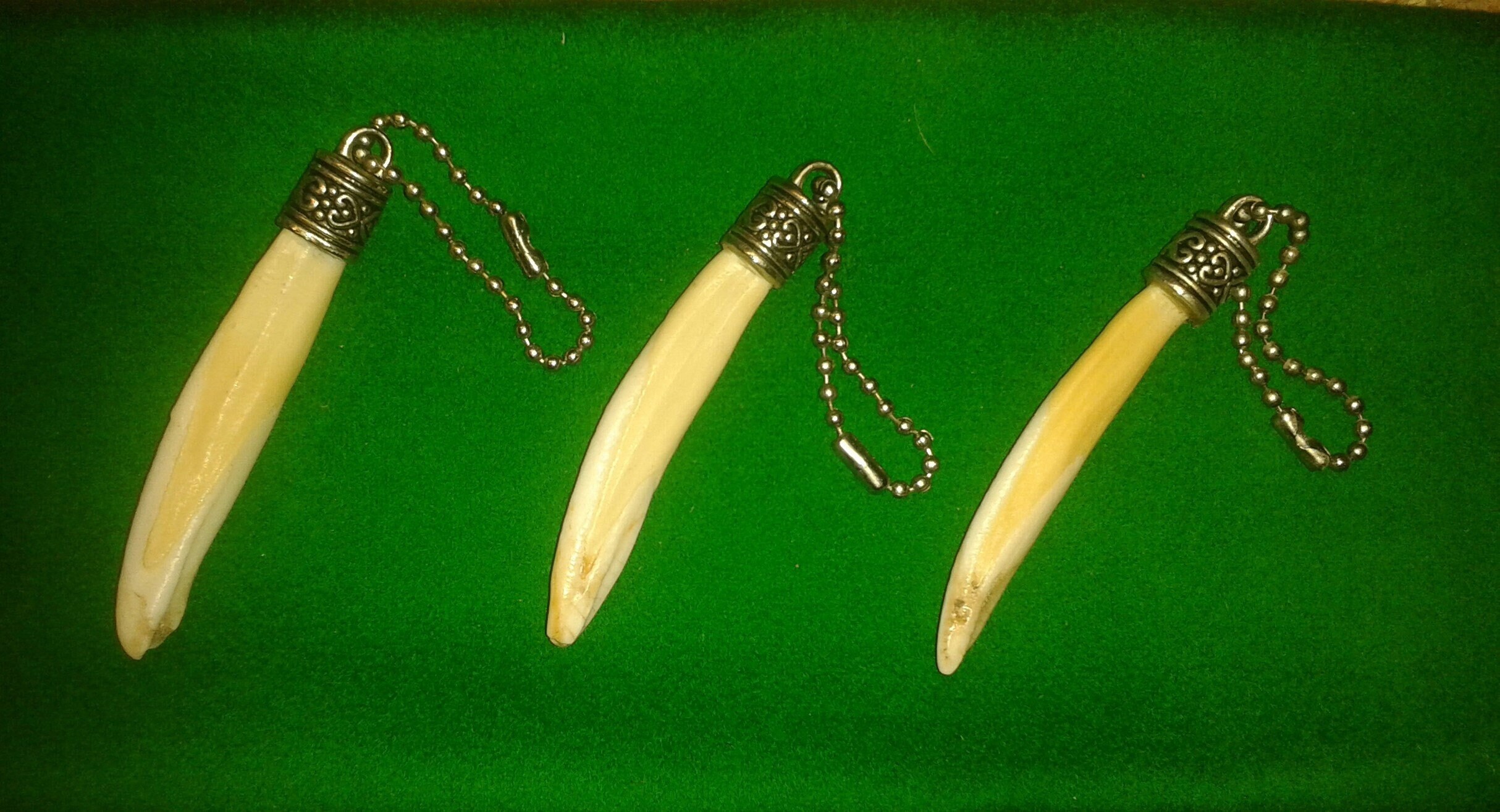 WILD BOAR INCISOR Pig Tooth Gothic Horror Voodoo Keyring - Etsy UK