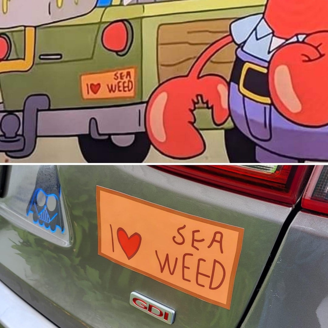 Spongebob Vinyl Stickers I 3 Heart Sea Weed 4x2 - Etsy