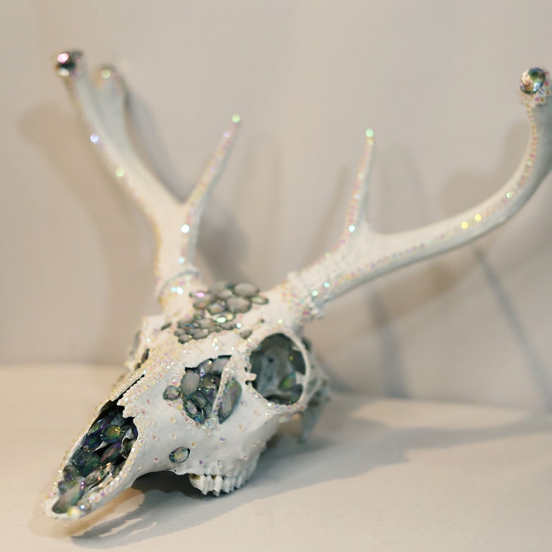 Deer Skull Art - Etsy