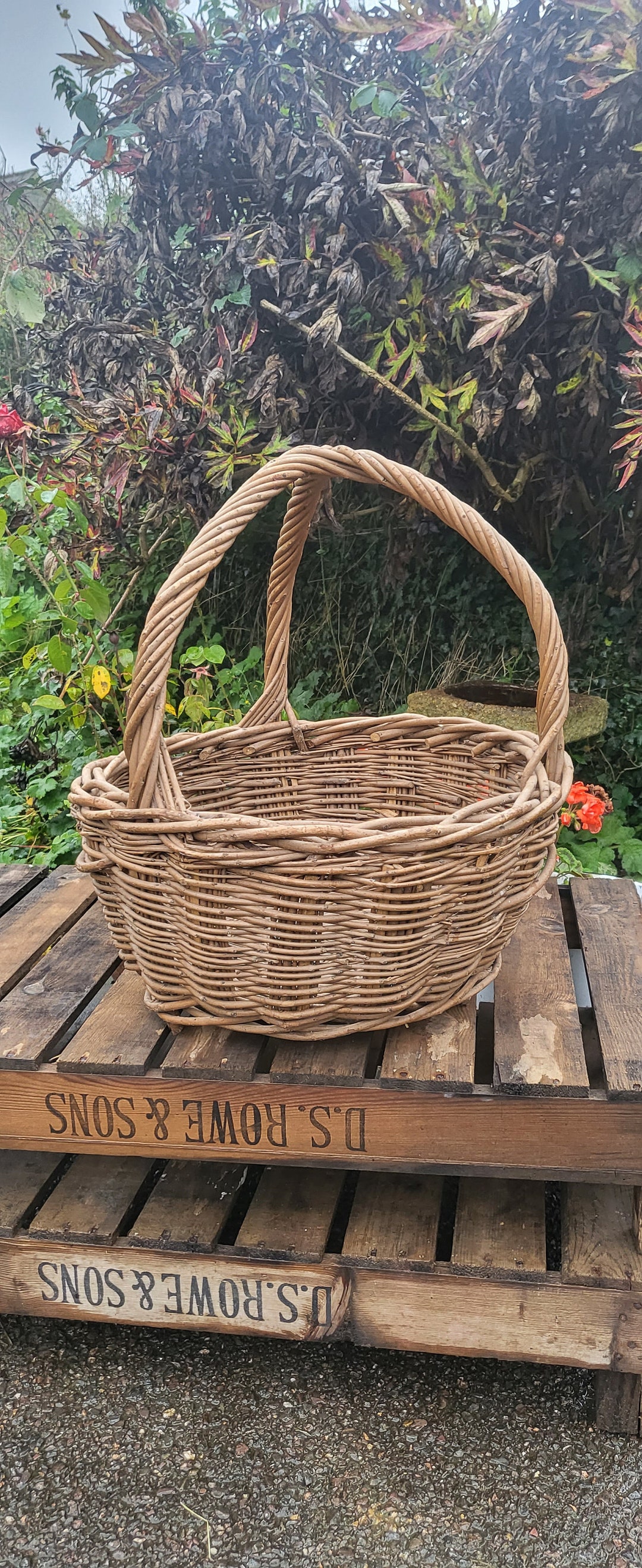 Large Round Old Wicker Basket. Vintage Kitchenalia. Old Thick Solid ...