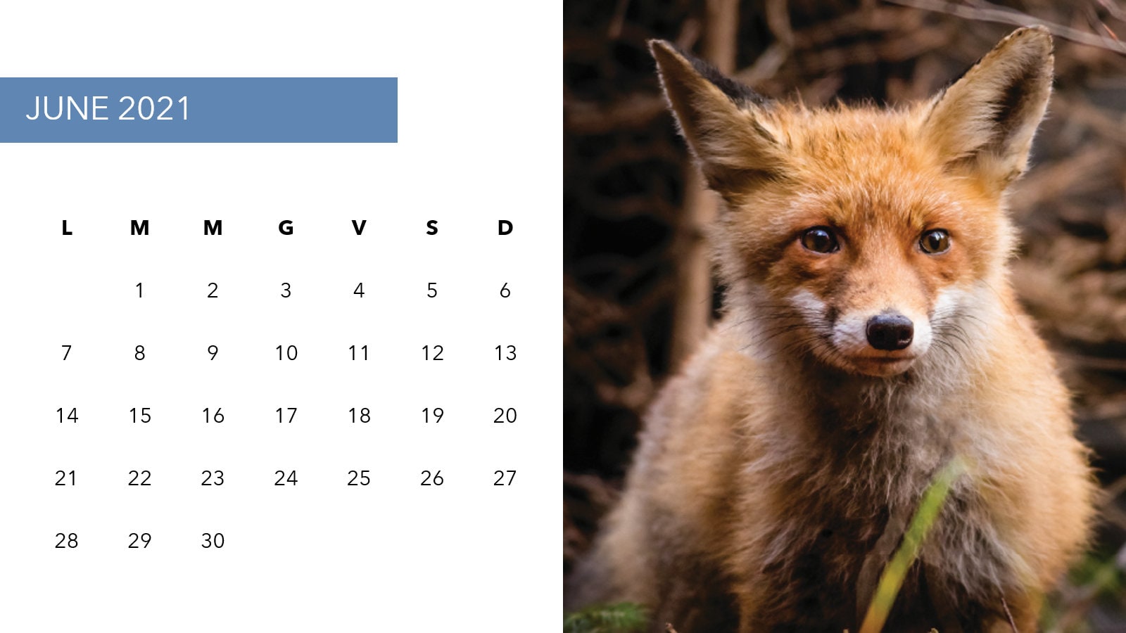 Digital Calendar 2021 Ready to Print - Etsy