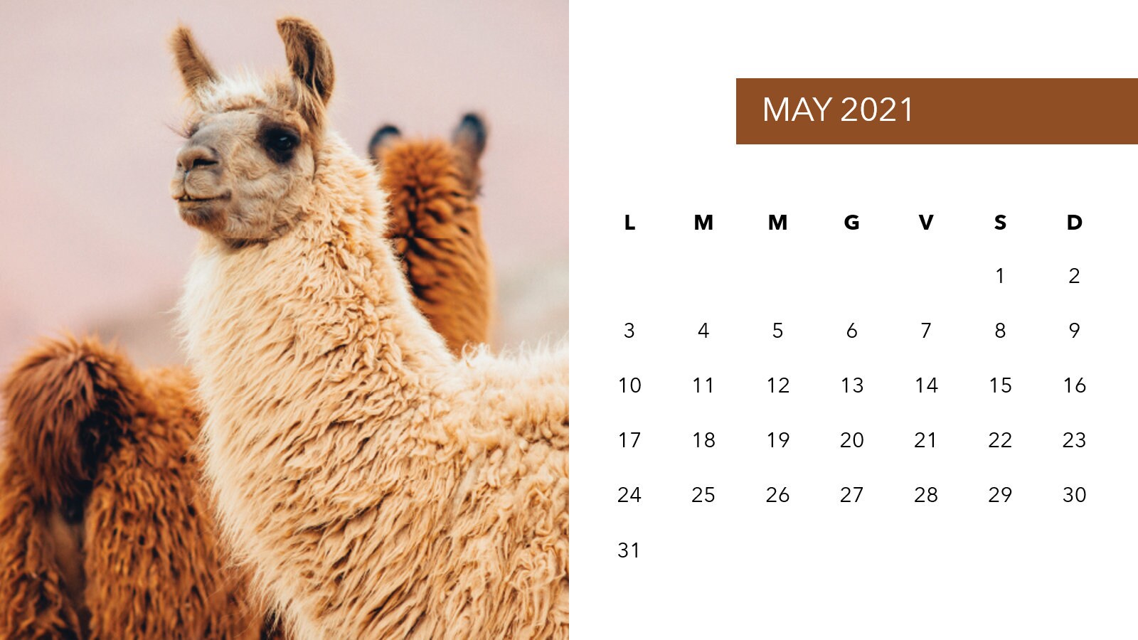 Digital Calendar 2021 Ready to Print - Etsy