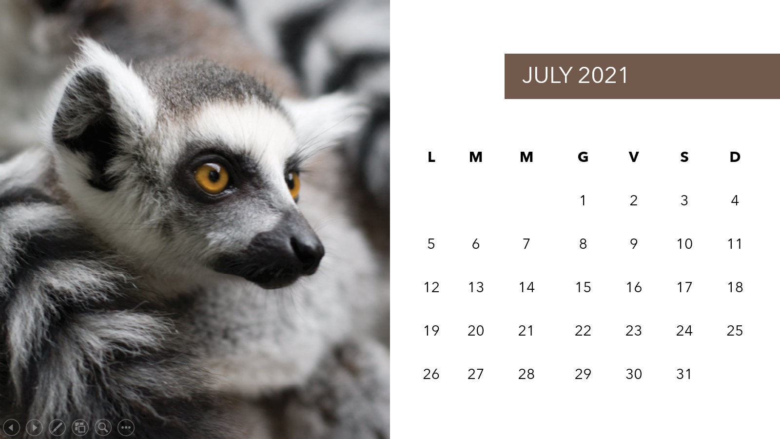 Digital Calendar 2021 Ready to Print - Etsy