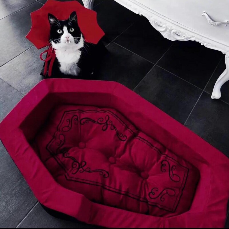 Coffin Cat Bed - Etsy