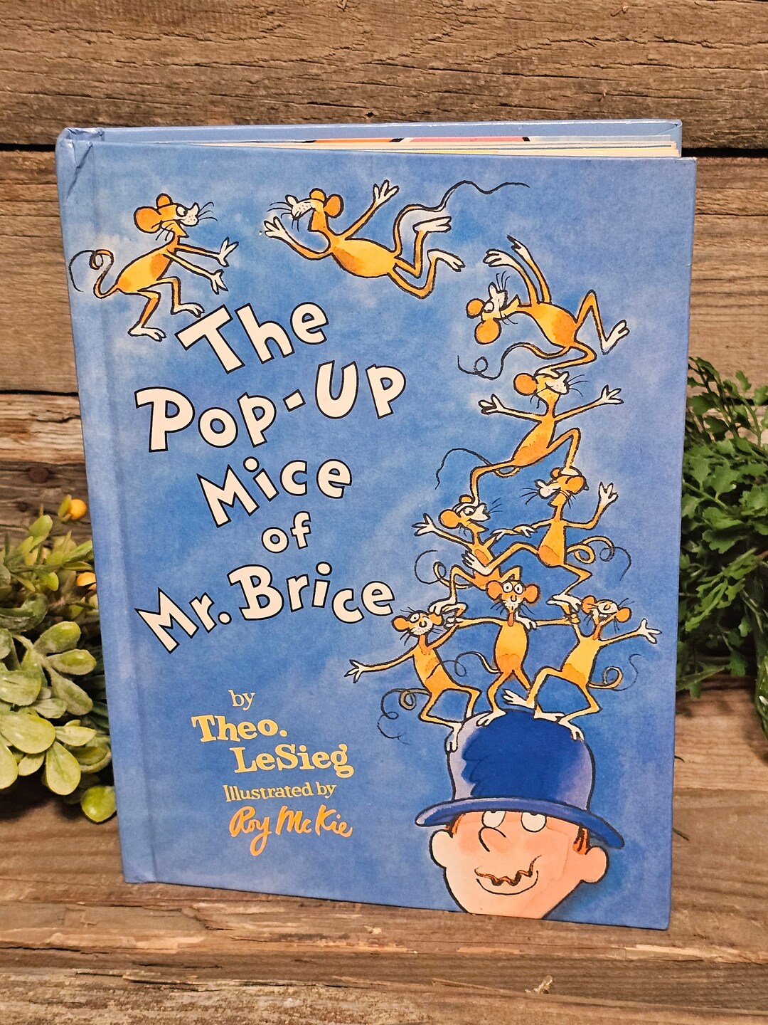 1989 the Pop-up Mice of Mr. Brice Illustrated by Roy Mc Kie - Etsy
