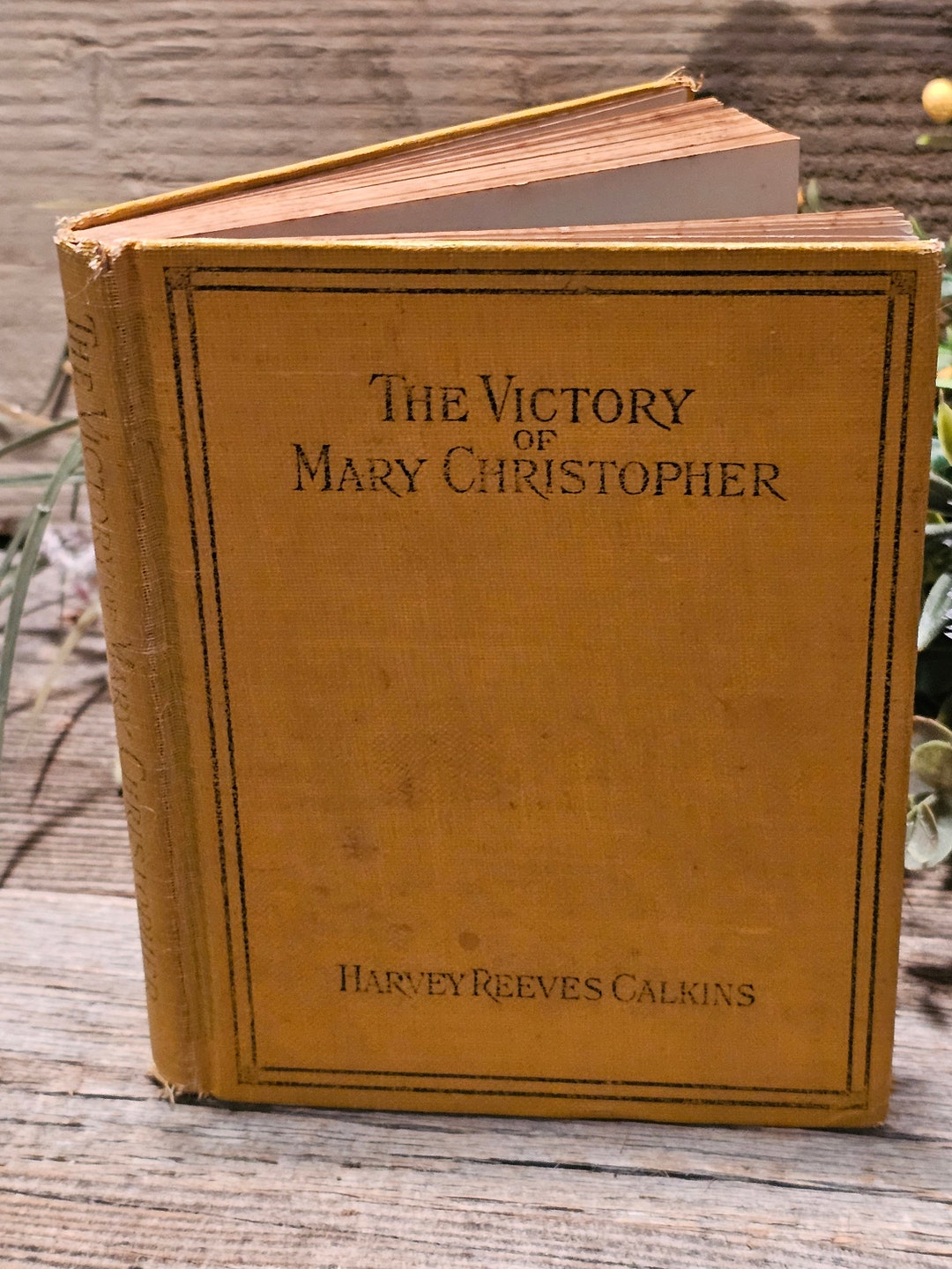 The Victory of Mary Christopher A Story of Tomorrow by Harvey Reeves ...