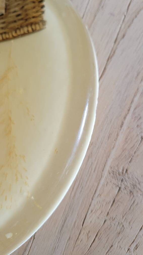 Lucite Acrylic Trivet Pot Holder With Dried Plants in Pots | Etsy