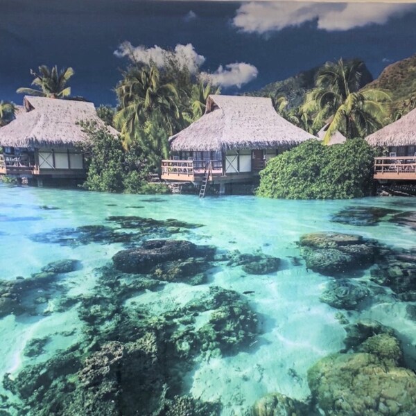 Paradise Backdrop - Etsy