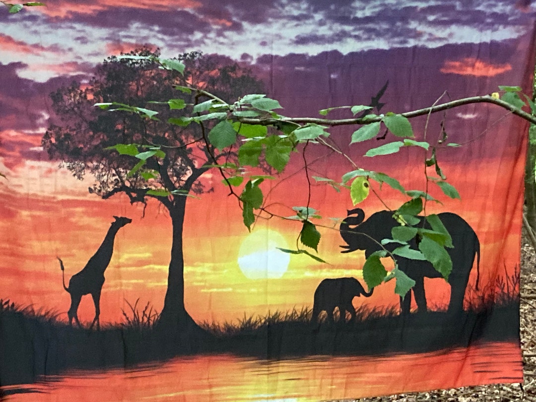 African Safari Backdrop Safari Sunset Backdrop Savannah - Etsy