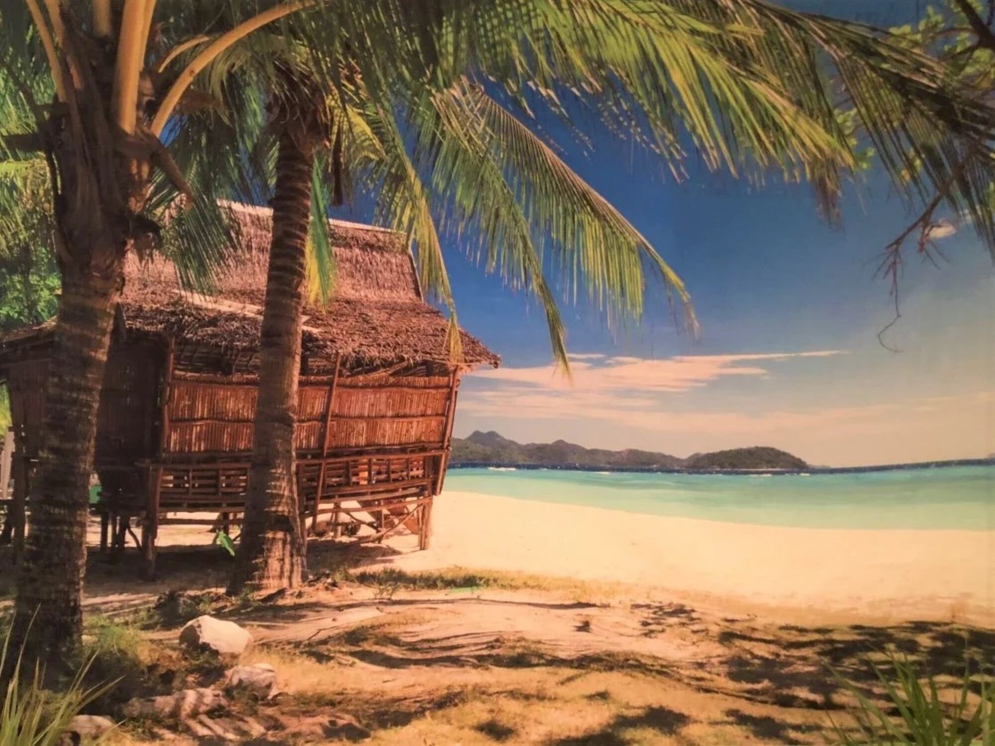 Garden Tropical Backdrop, Party Backdrop, Beach Backdrop. W6ft 6" X ...