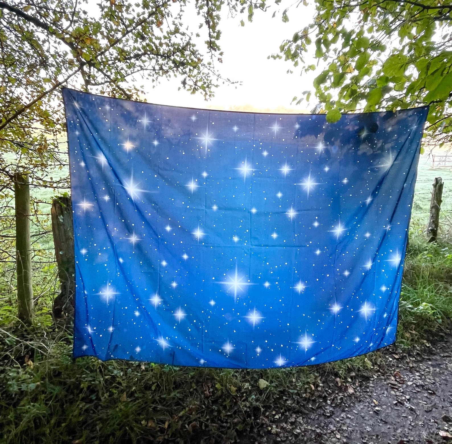 Stars Backdrop, Starry Night Backdrop - Giant Size Options From W7ft X ...