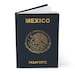Mexican Passport Hardcover Journal Notebook Best Gift for Citizens of ...