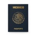 Mexican Passport Hardcover Journal Notebook Best Gift for Citizens of ...
