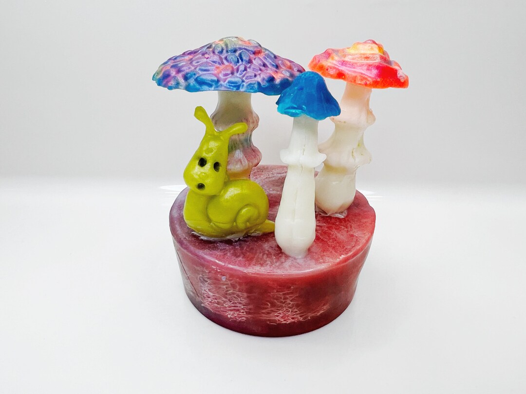 Tropical Shrooms - Bar Sap, Loofah Soap, Artisan Saop - Etsy