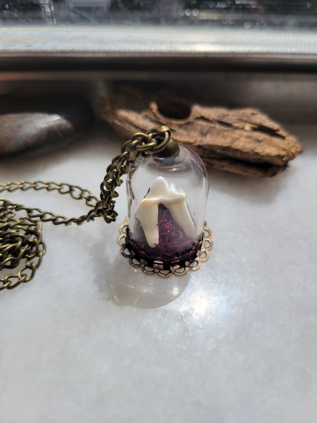 Oddity Jars Tooth & Moss Pendant Necklace Real Bone - Etsy