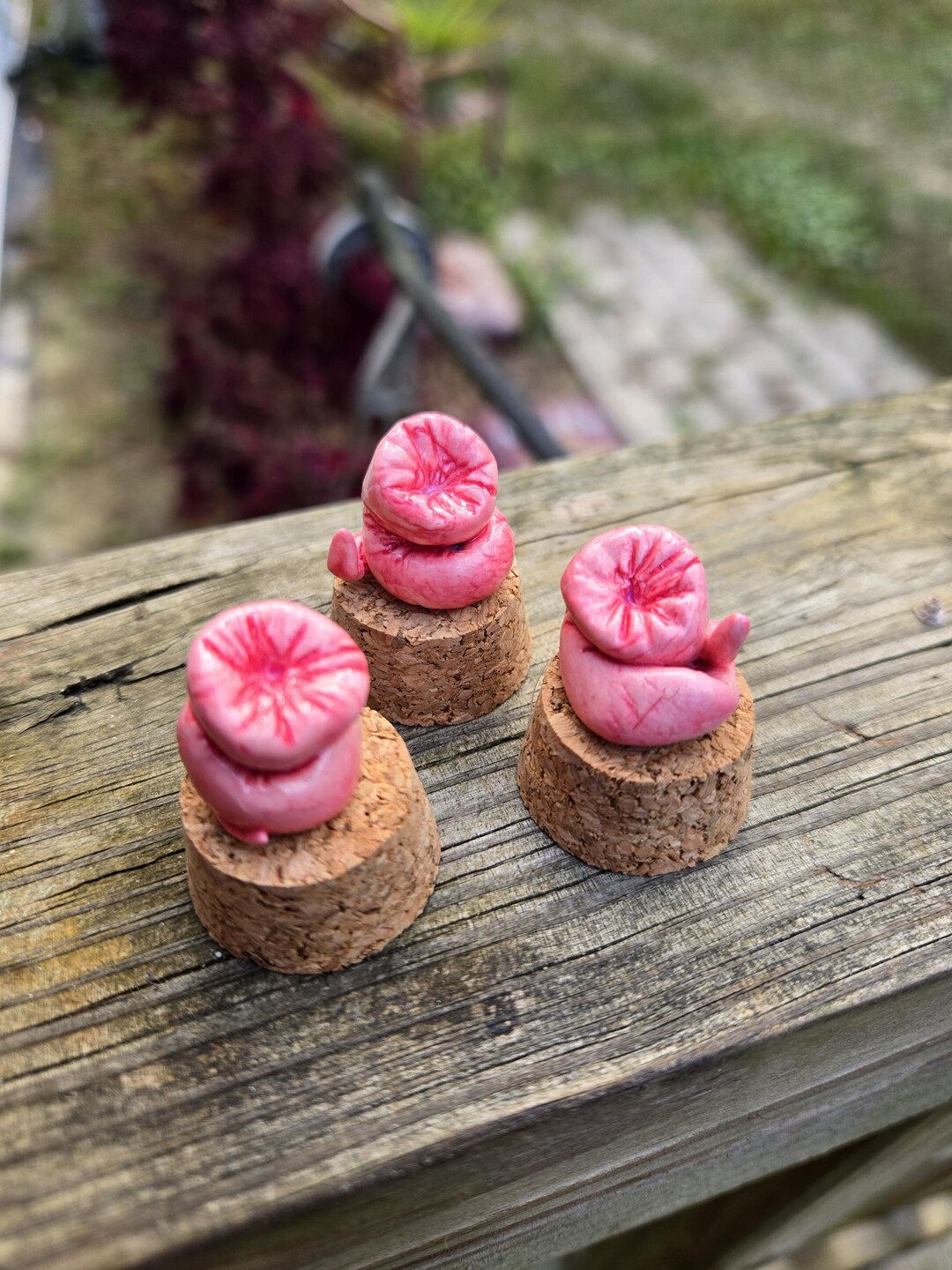 Creepy Crawlers Sucker Worms in Jars Jar Oddities - Etsy