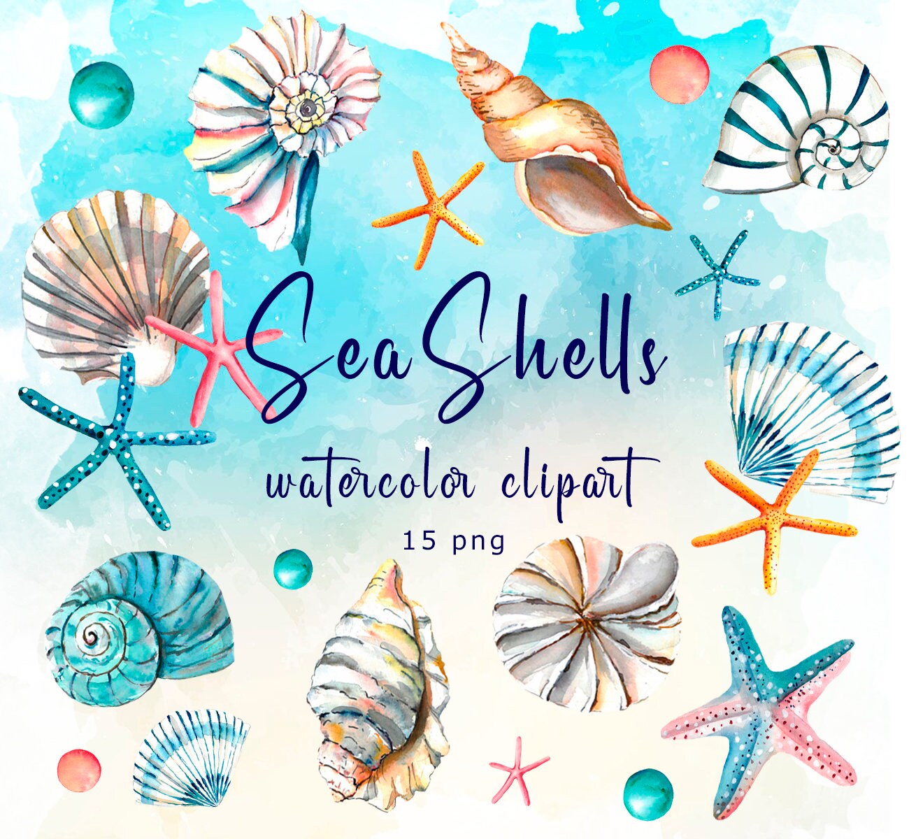 Sea Shells Png. Sea Watercolor. Seashells Watercolor Clipart. Shells ...