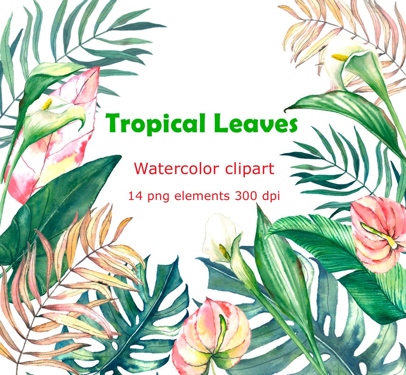 Tropical Clipart, Watercolor Clipar, Watercolor Trioical Clipart ...
