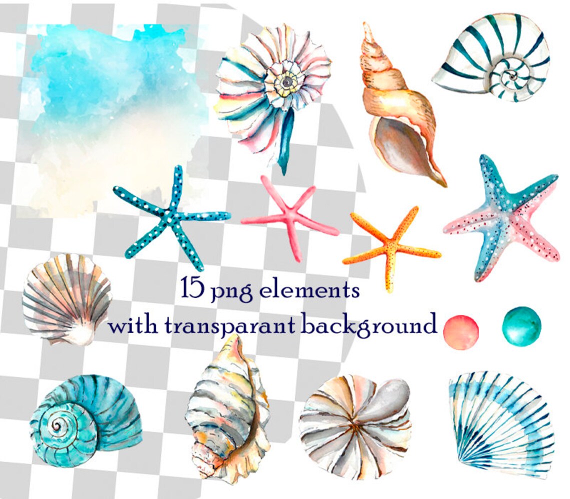 Sea Shells Png. Sea Watercolor. Seashells Watercolor Clipart. Shells ...