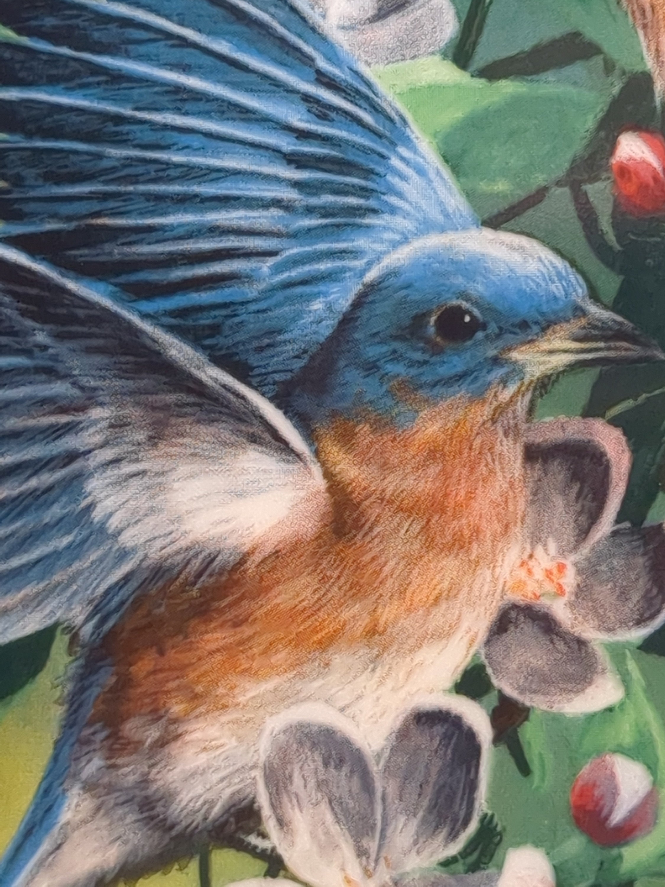1986 Bluebird by Kevin Daniel Knowles Fine China Collection Plate - Etsy