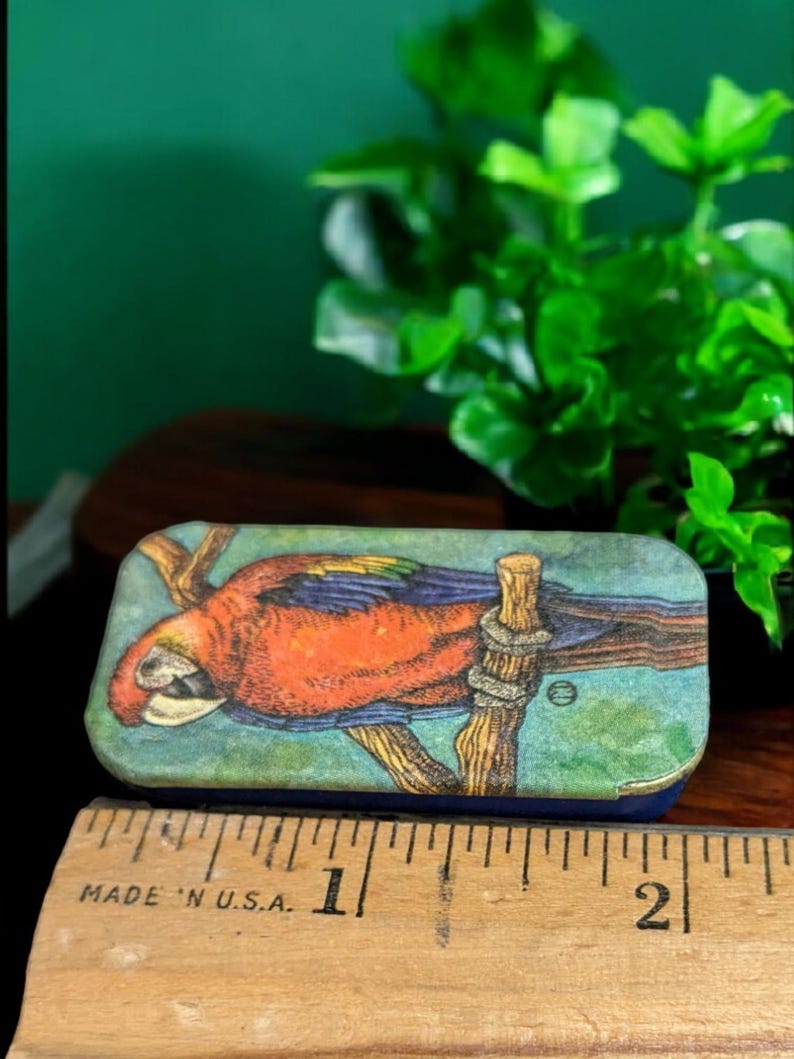 Vintage 1980s Parrot Tin From Potpourri Press - Etsy