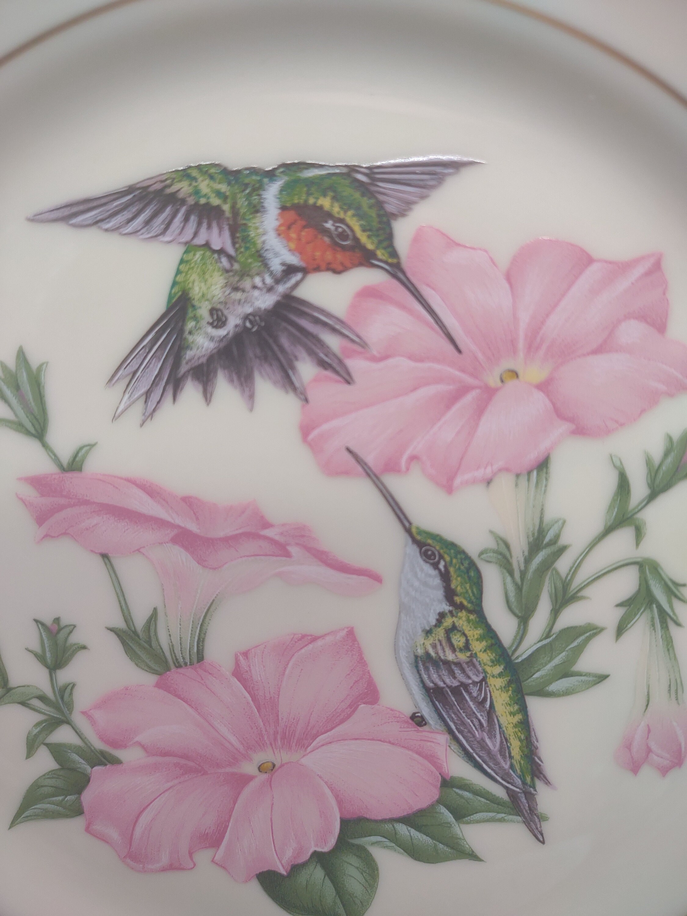The Lenox Garden Bird Plate Collection Ruby-throated - Etsy