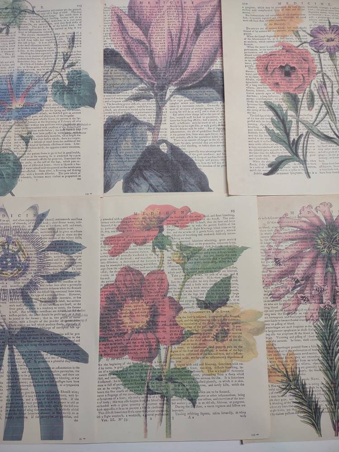 Floral Themed Dictionary Print From 1700s Dictionary - Etsy