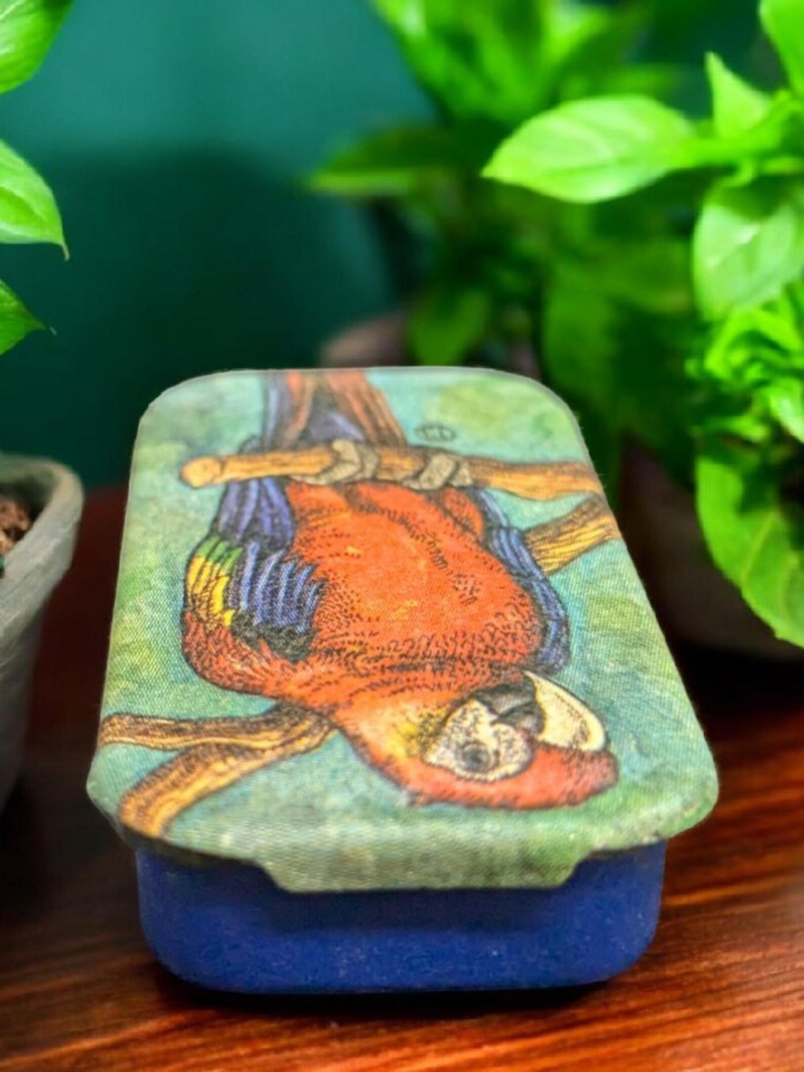 Vintage 1980s Parrot Tin From Potpourri Press - Etsy