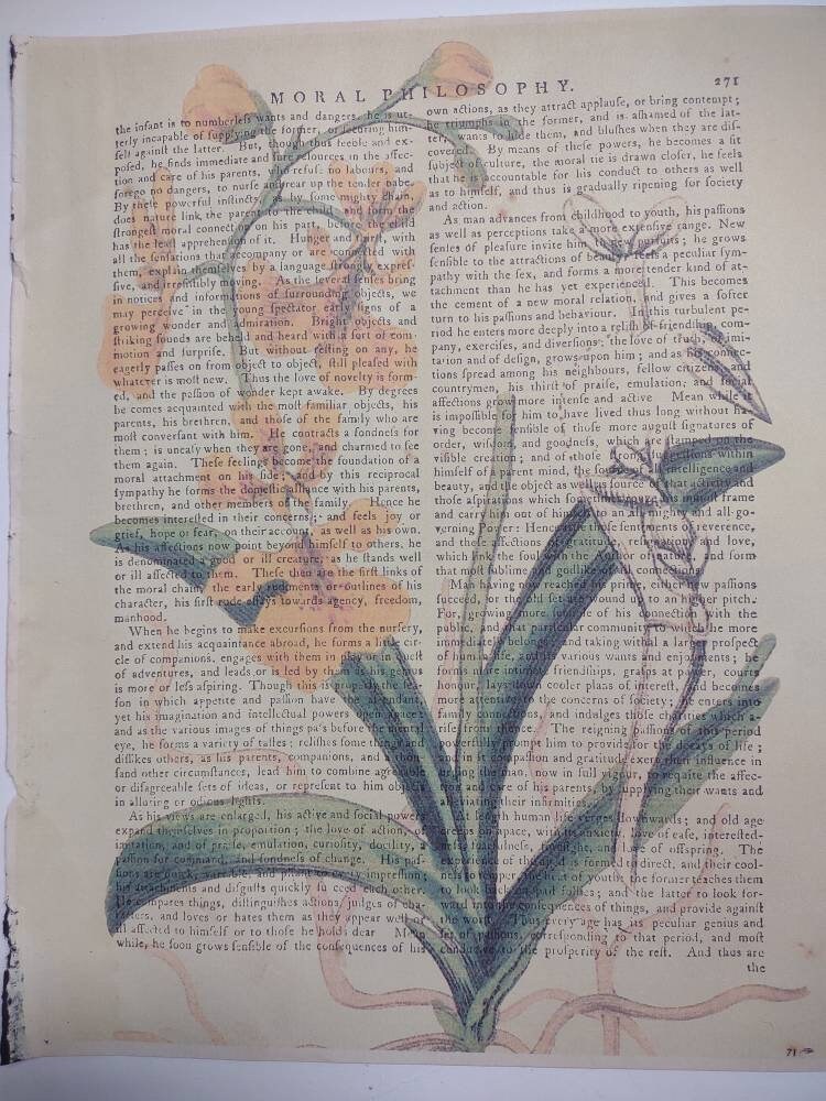 Floral Themed Dictionary Prints From 1700s Dictionary Page - Etsy