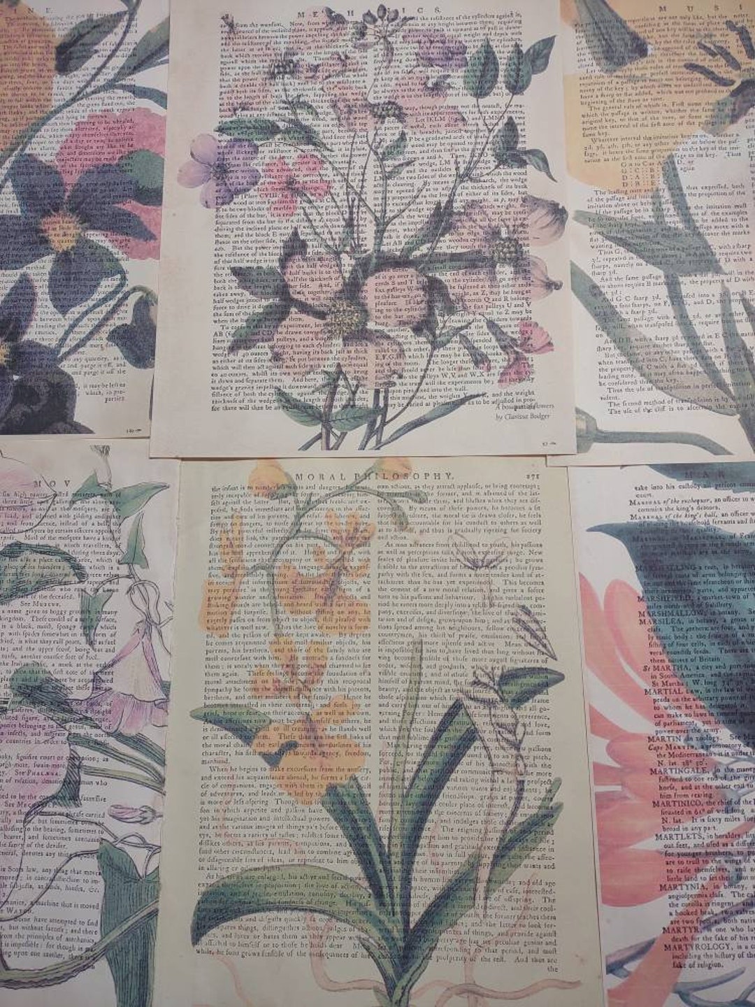 Floral Themed Dictionary Prints From 1700s Dictionary Page - Etsy
