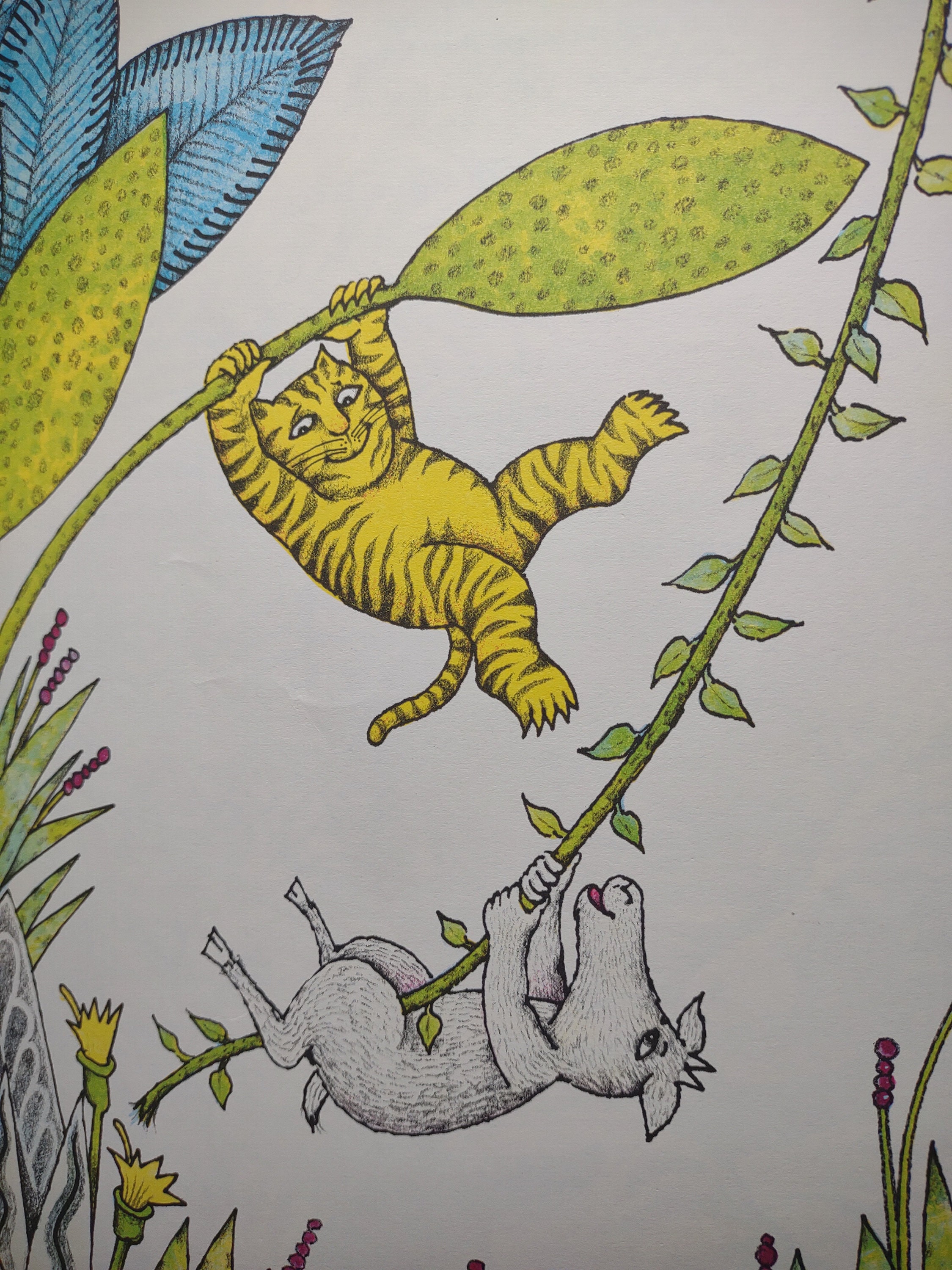 1986 the Banza a Haitian Story by Diane Wolkstein and Reading - Etsy