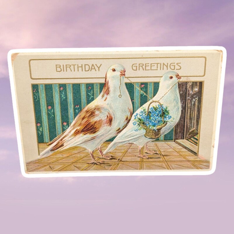 Pigeon Postcards - Etsy