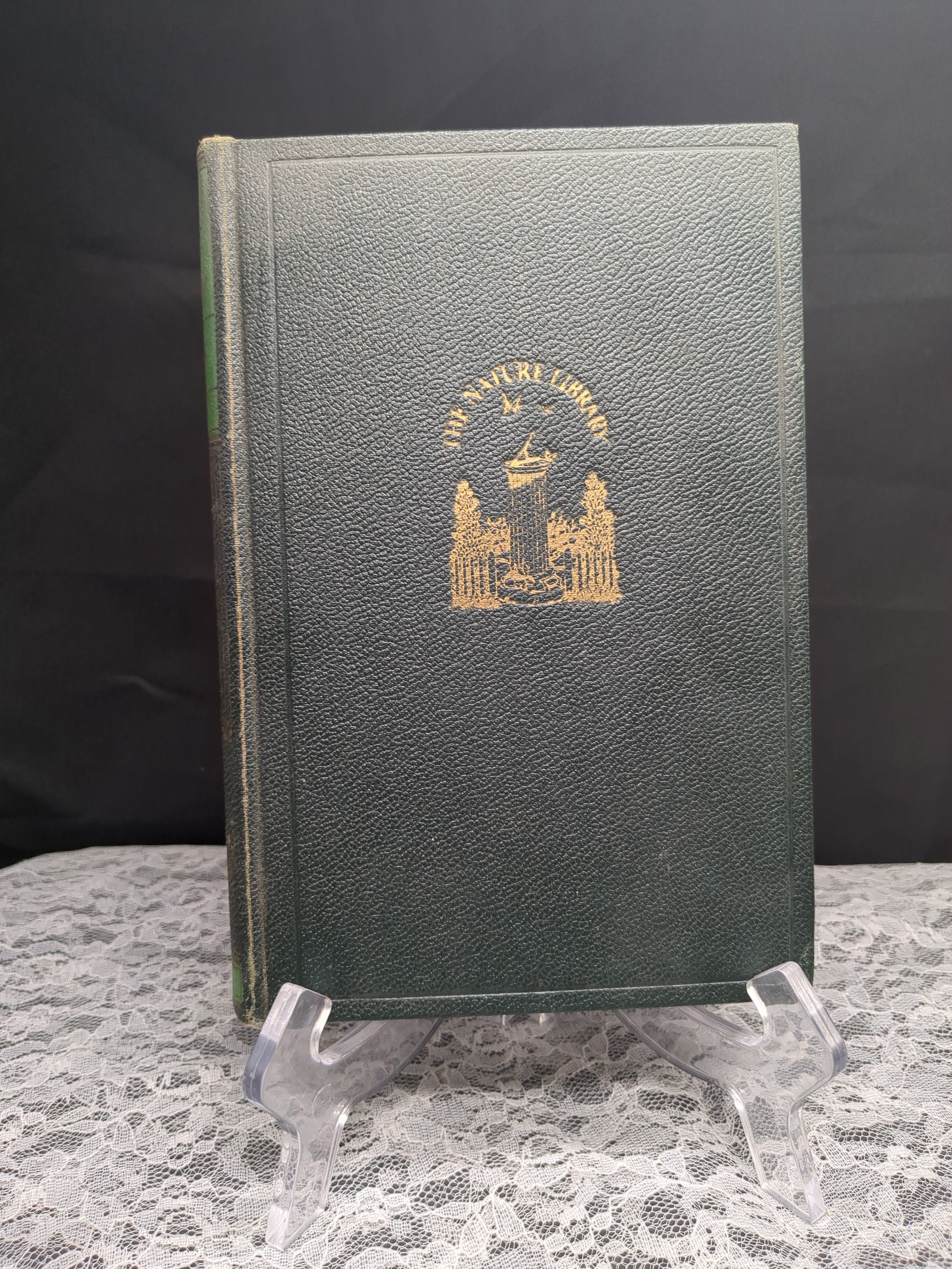 Vintage 1926 the Nature Library Trees by Julia Ellen Rogers - Etsy