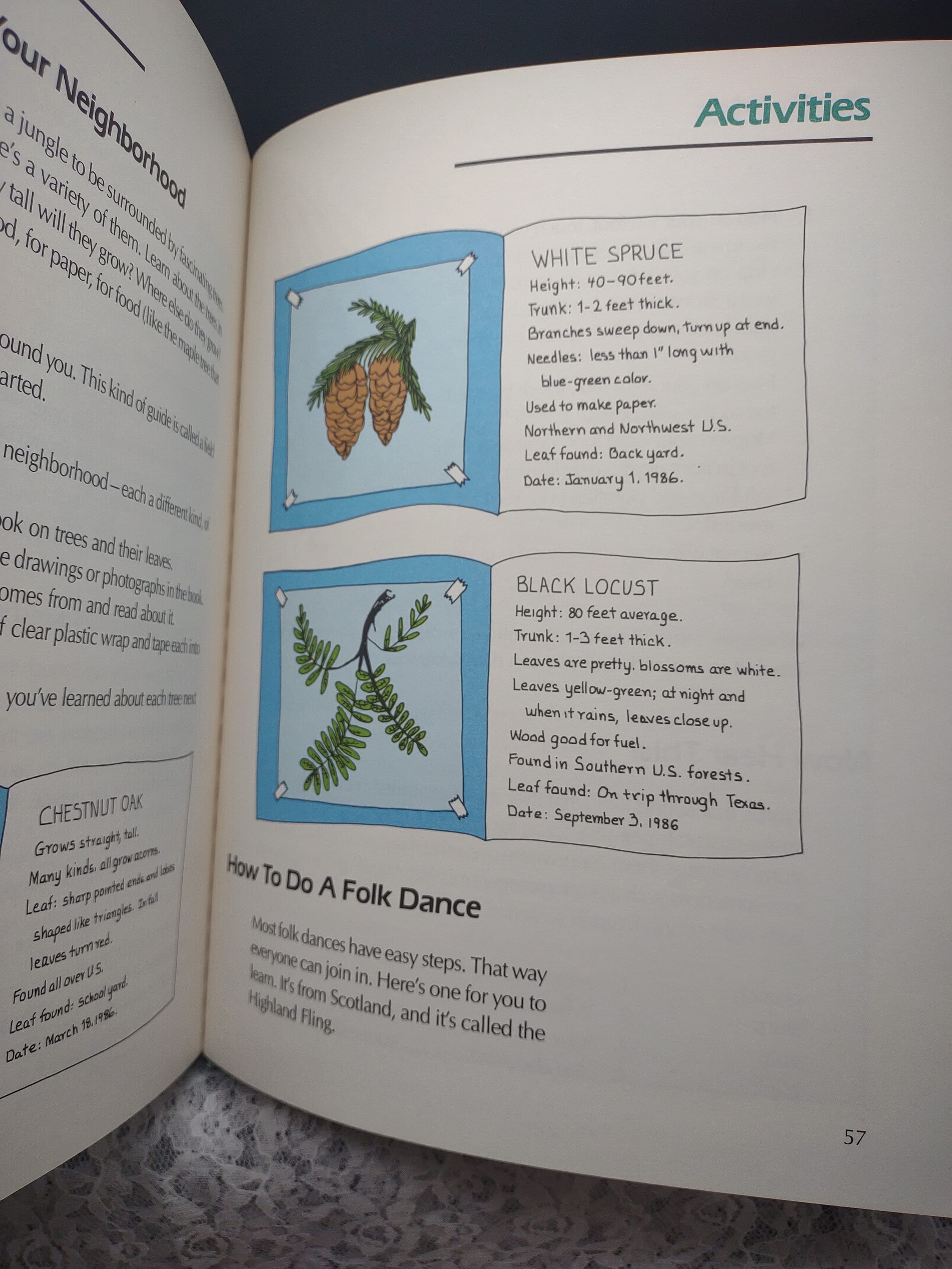 1986 the Banza a Haitian Story by Diane Wolkstein and Reading - Etsy