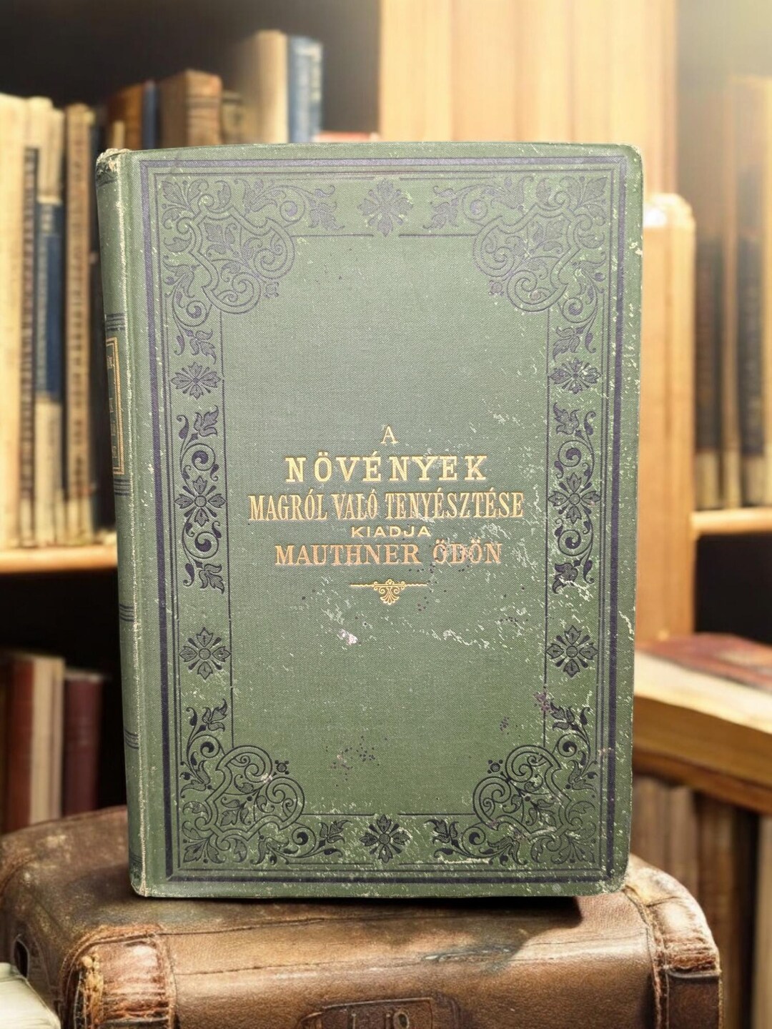 Antique 1889 Hungarian Gardening Book – Illustrated Guide to Planting ...