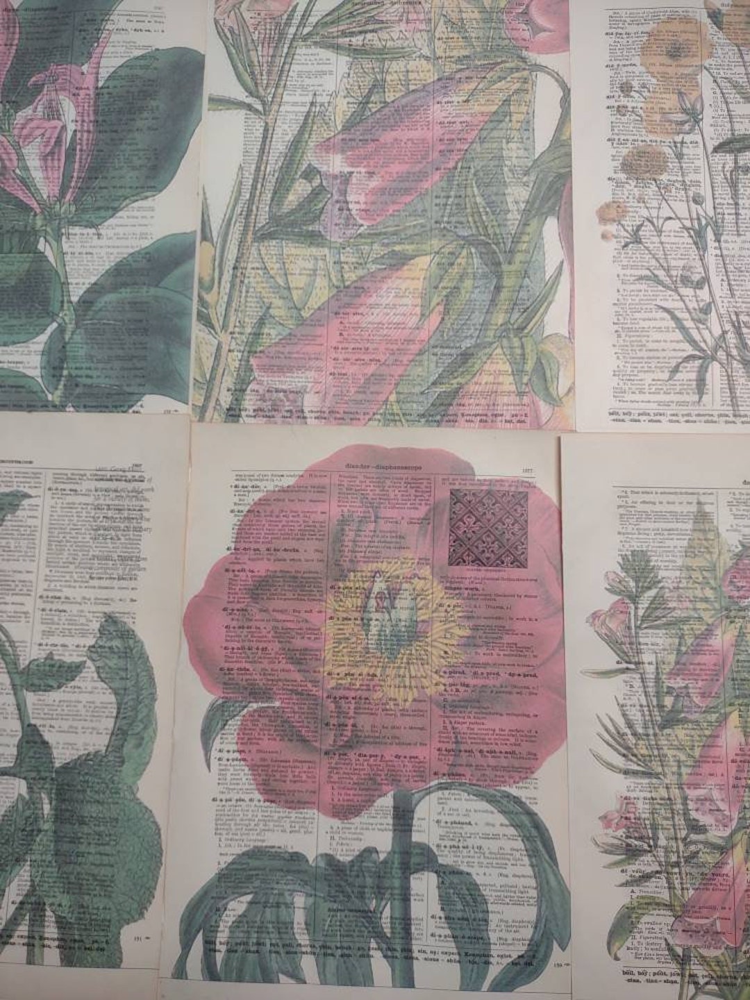 Floral Themed Dictionary Prints From 1800s Dictionary Page - Etsy
