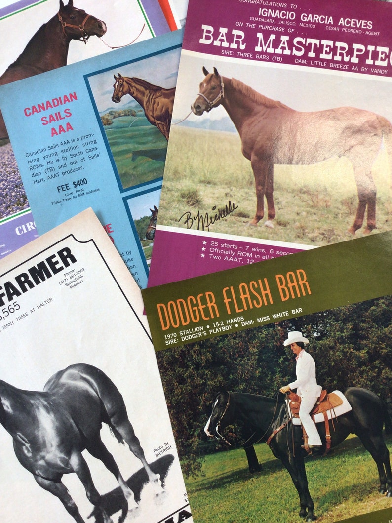 1974 Vintage Stallion Add Ephemera 20 Page Pack - Etsy