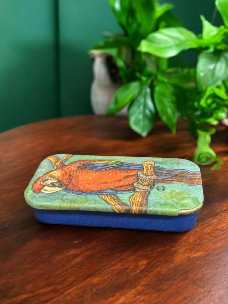 Vintage 1980s Parrot Tin From Potpourri Press - Etsy