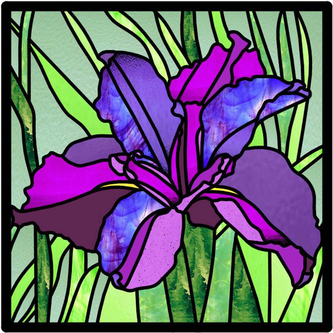 Louisiana Swamp Iris Stained Glass Panel Pattern for Download - Etsy