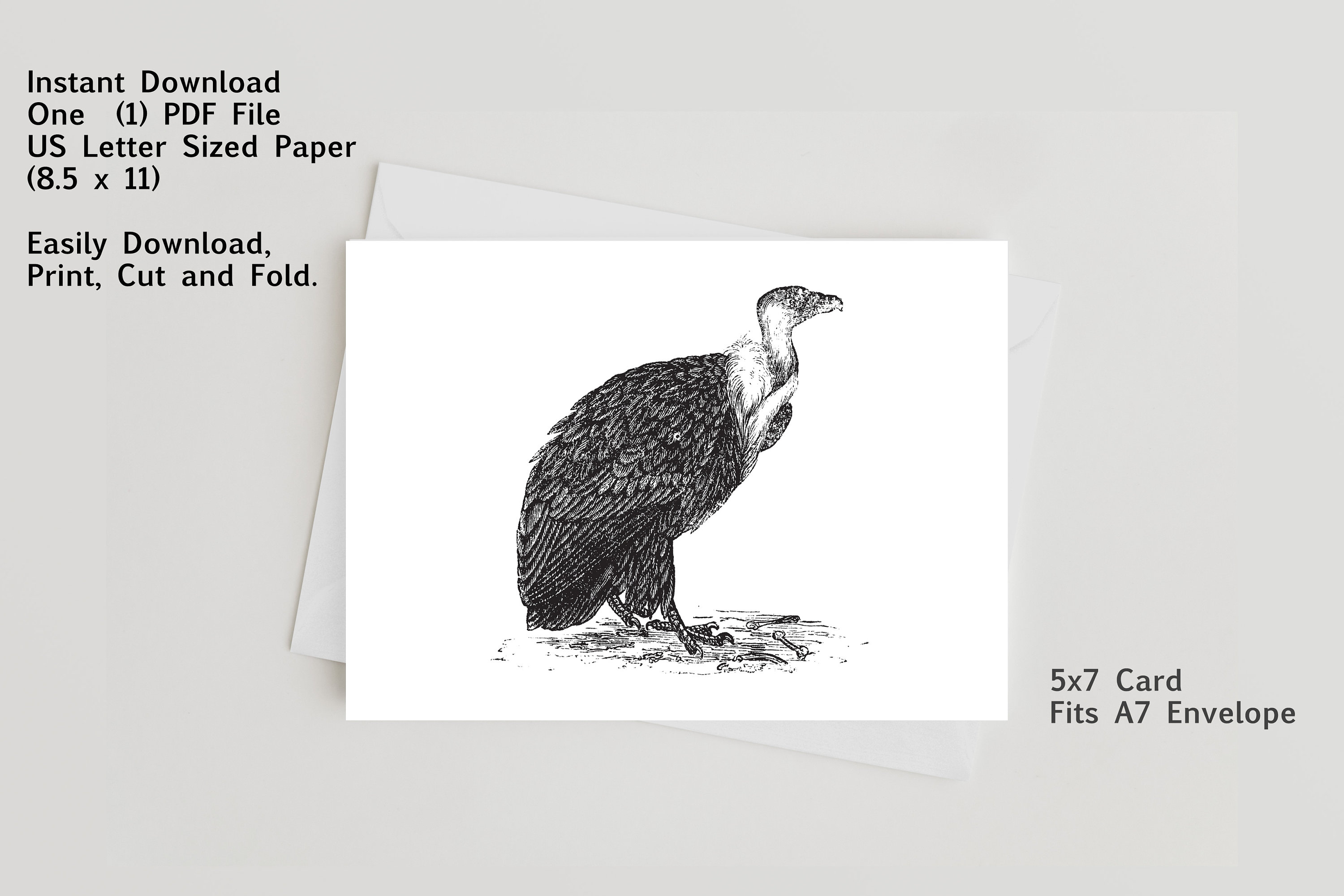Vintage Vulture Drawing on Printable Card | Vulture Card | DIGITAL ...