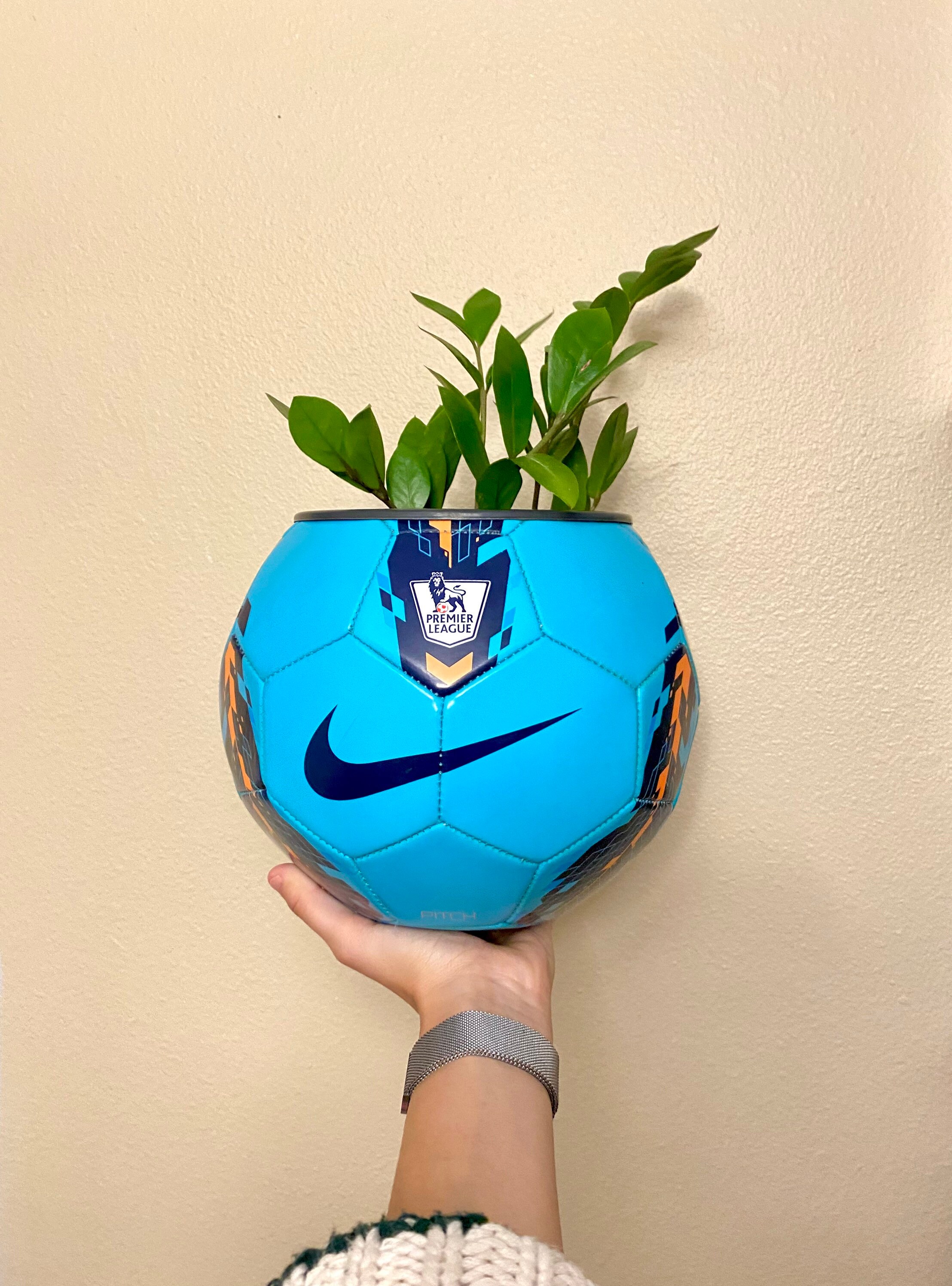 Nike Soccer Ball 2011