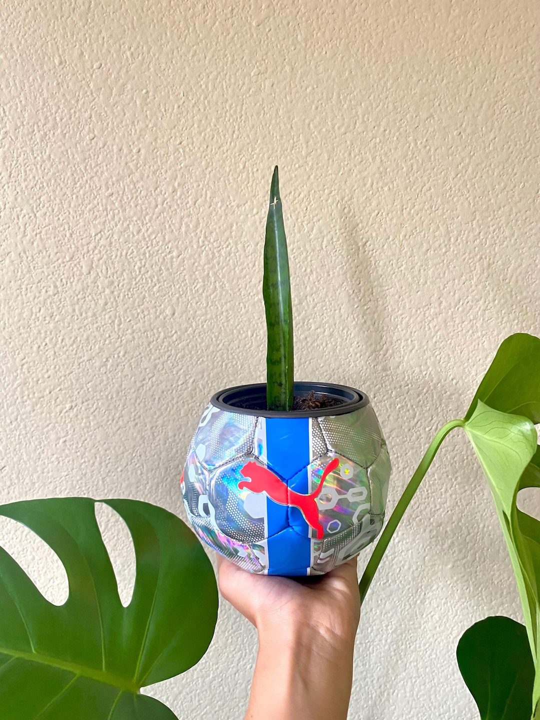 Mini Puma Soccerball Planter/holder - Etsy