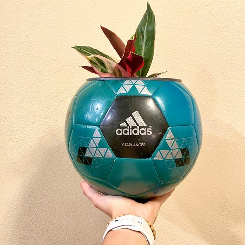 F.C Planter Soccer Ball Planter - Etsy