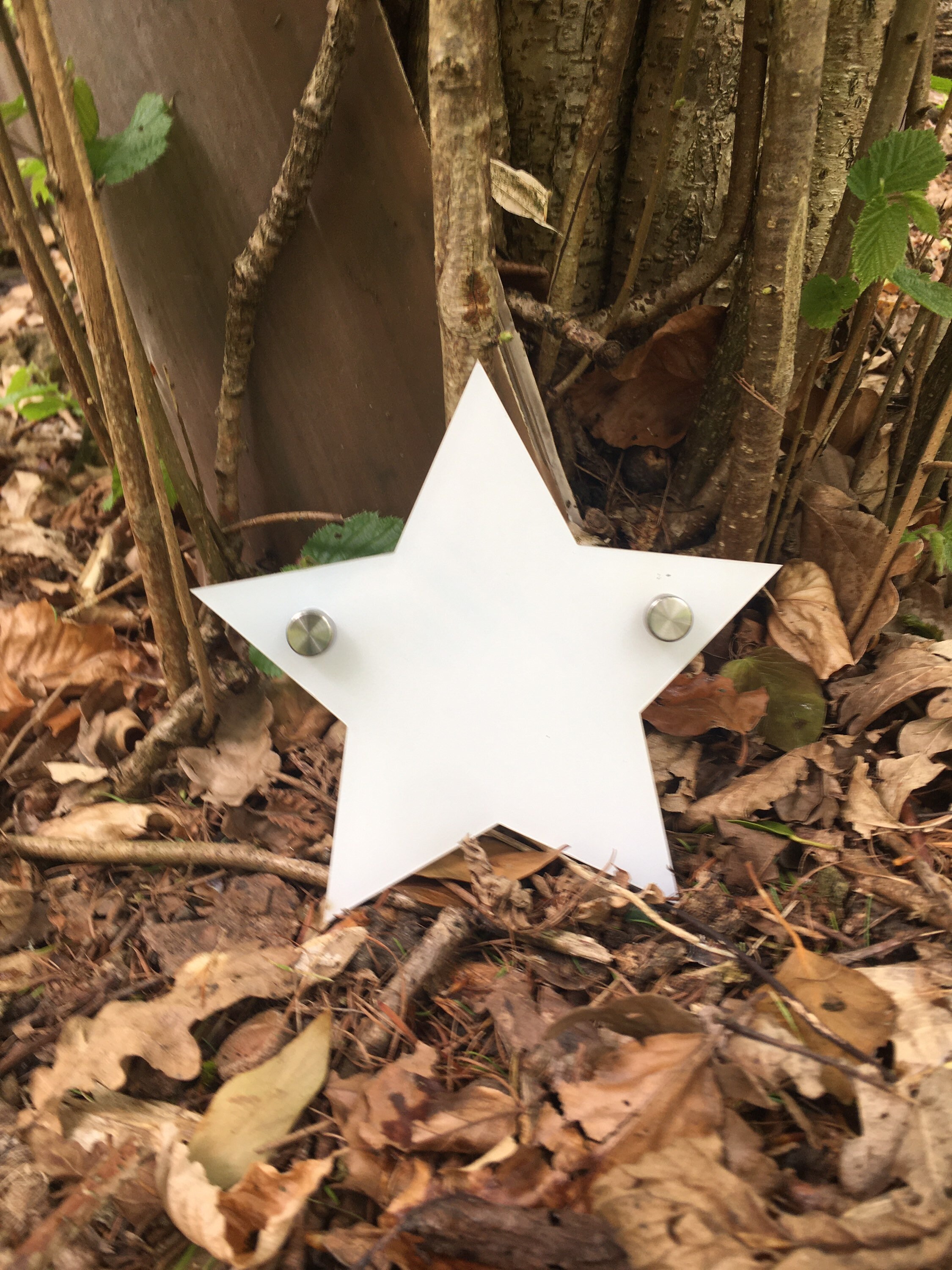 Star Shaped Door Sign Blank. - Etsy